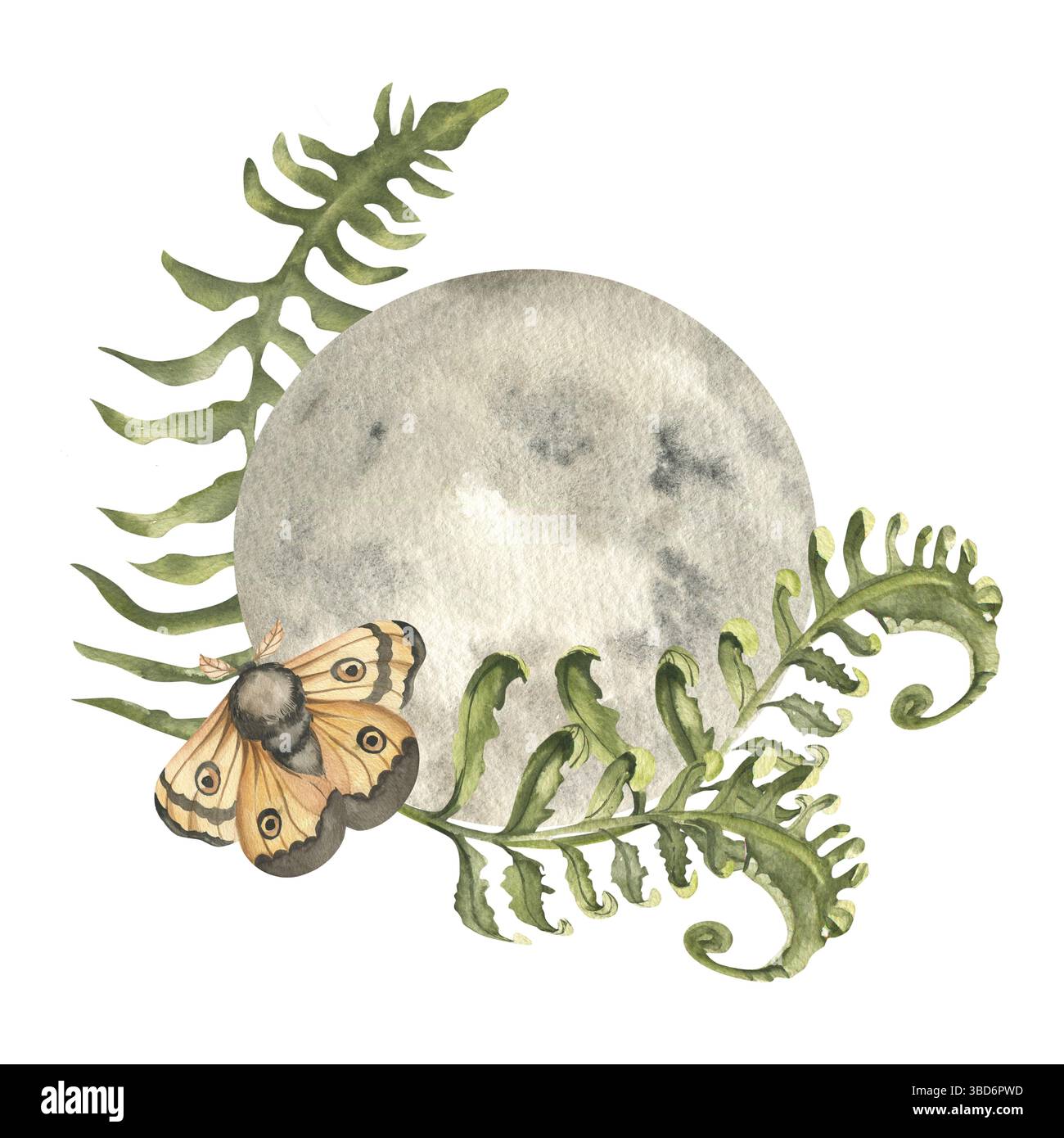 Full moon with green forest fern and moth watercolor illustration. Hand ...