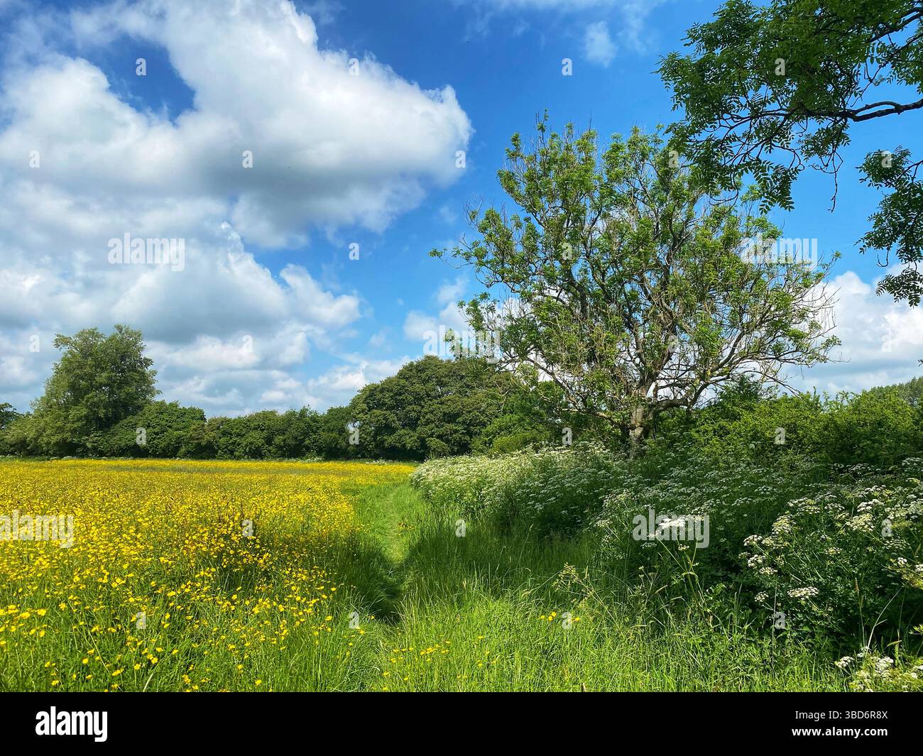 English springtime hi-res stock photography and images - Alamy