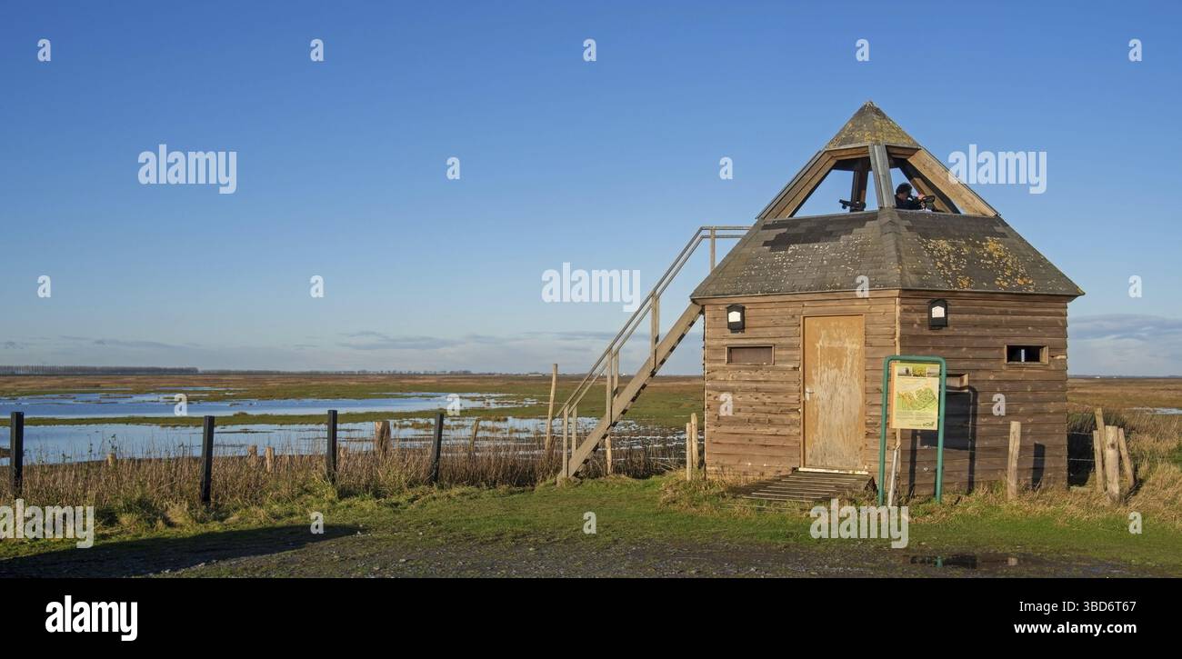 Bird hide at the nature reserve Verdronken Land van Saeftinghe, salt ...