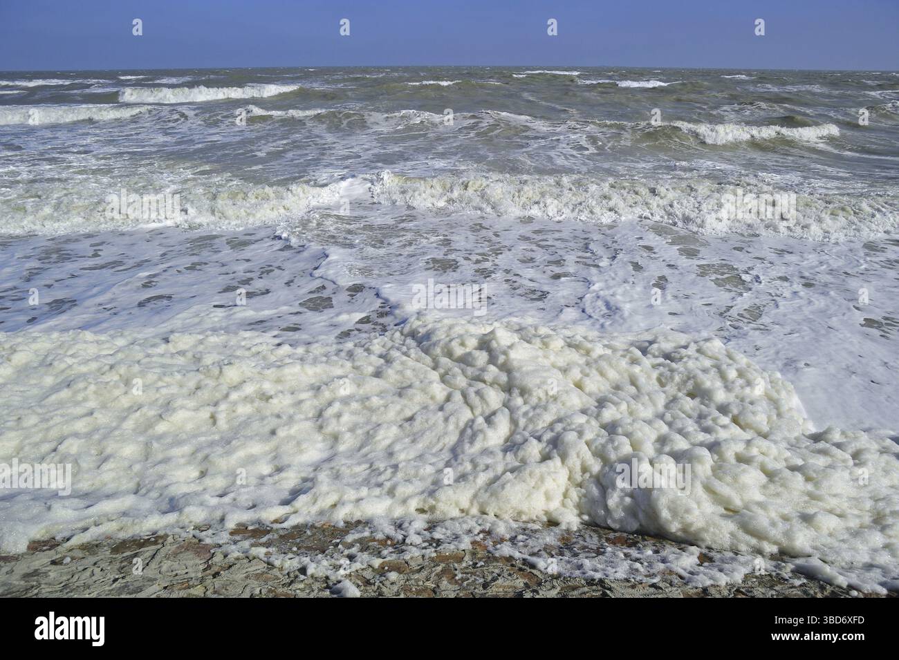 Sea foam, ocean foam, beach foam formed during stormy conditions and ...