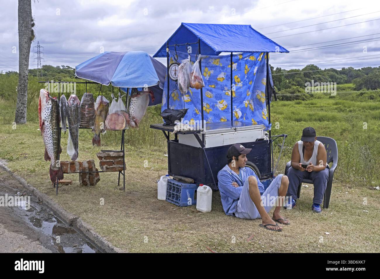 Street vendors, fishermen at roadside fish stand selling freshwater ...