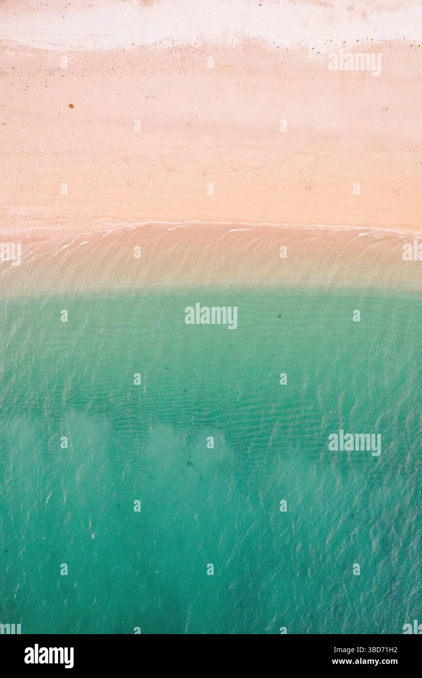 shore of a beach with pristine turquoise waters and golden sand ...