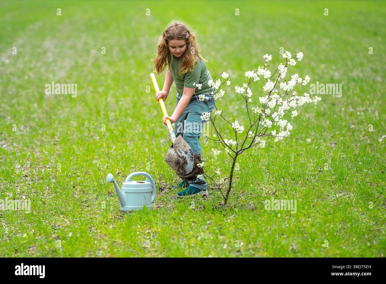 Child planting a spring tree on orchard. Kids grow up fruit tree. Kid ...