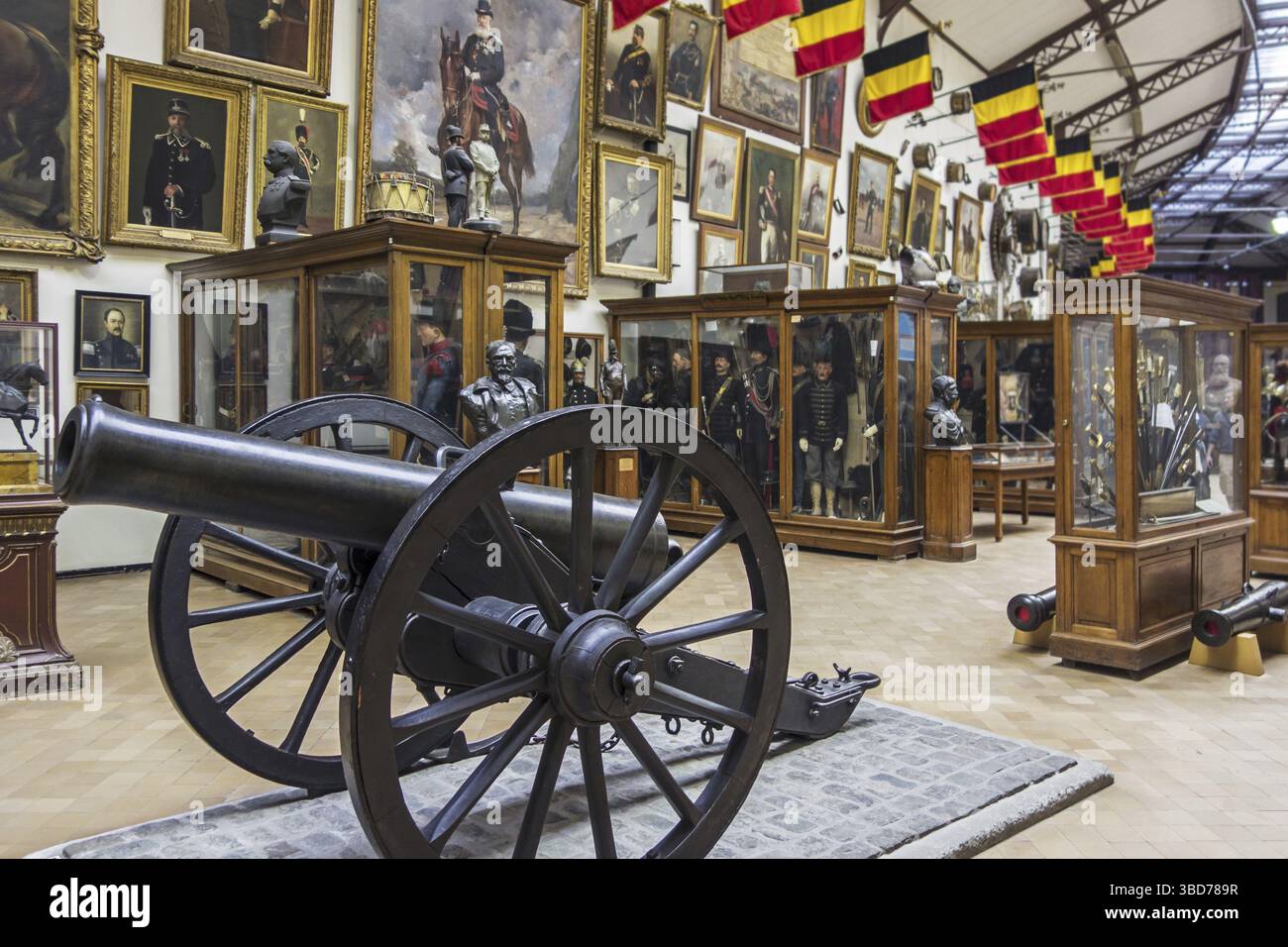 Collection of 19th century muzzleloading black powder cannons, weapons ...