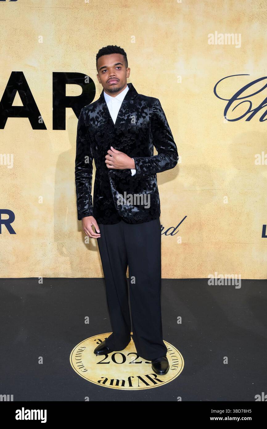 Elijah Wright 78th Cannes Film Festival amfAR Red Carpet - part 2 Hotel ...