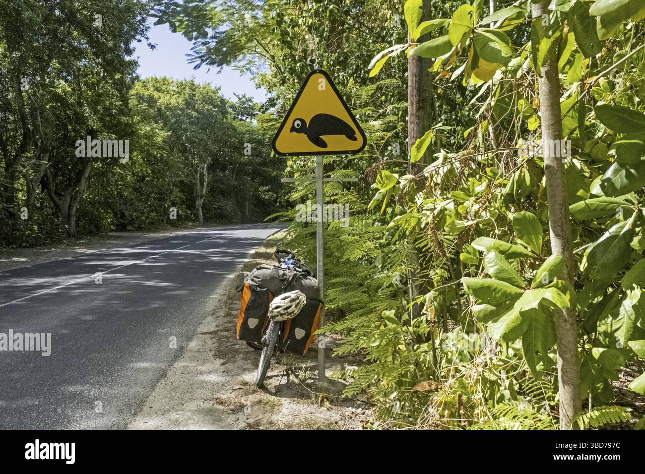 Touring bicycle and warning sign for turtles crossing the road on Basse ...