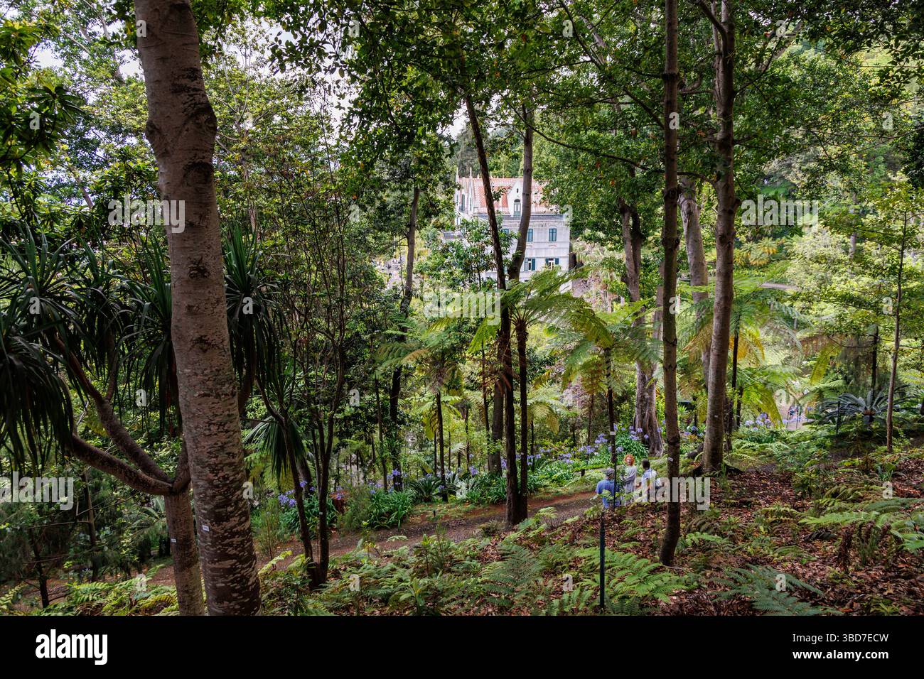 Funchal, Portugal - June 12, 2024: Palace in Monte Palace - Tropical ...