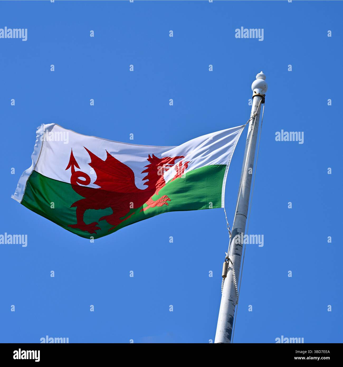 The green white and red Welsh flag, or flag of Wales / Baner Cymru or Y ...