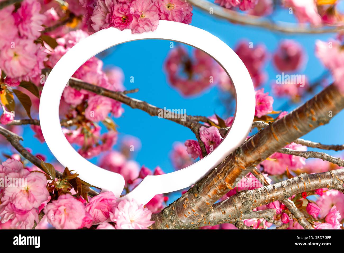 White speech bubble cutout hanging on cherry blossom tree branches ...