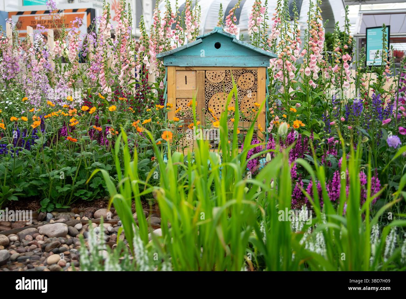 Decoding how plants hi-res stock photography and images - Alamy