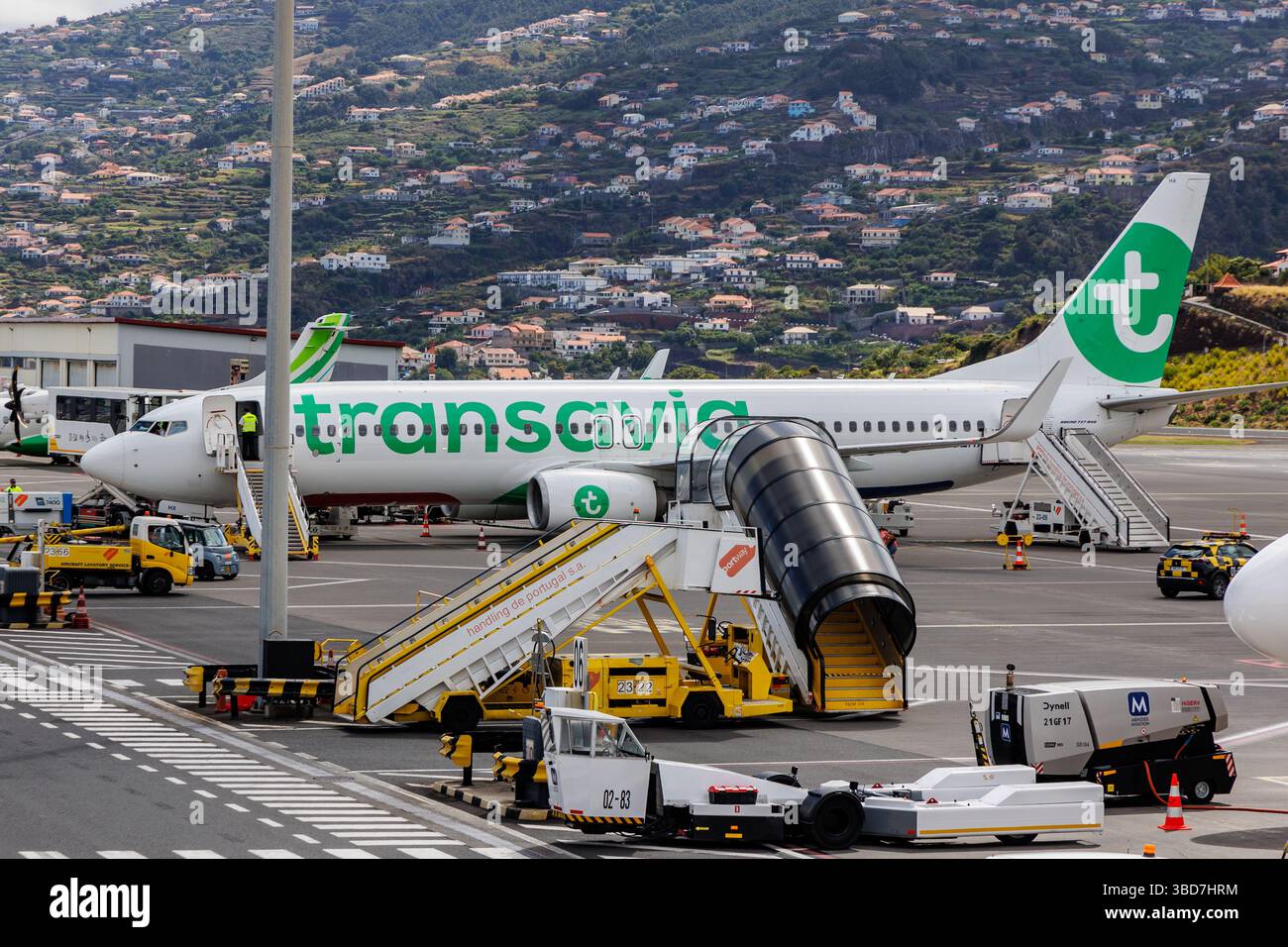 Santa Cruz, Porugal - June 12, 2024: Transavia Boeing 737-800 on ...