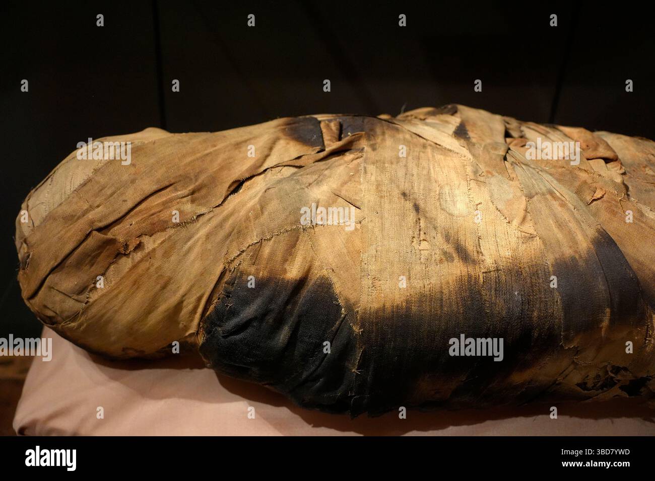 TURIN, ITALY - MAY 14 2025 - The Egyptian museum is considered the ...
