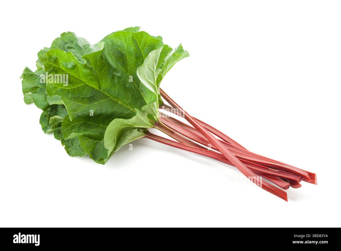 Fresh rhubarb stalks with leaves isolated on white background Stock ...