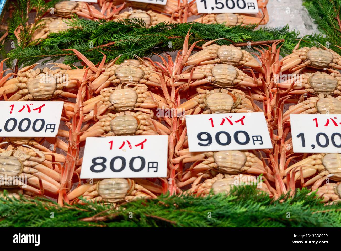 Fresh crabs laid belly up on ice in a Japanese seafood market, labeled ...