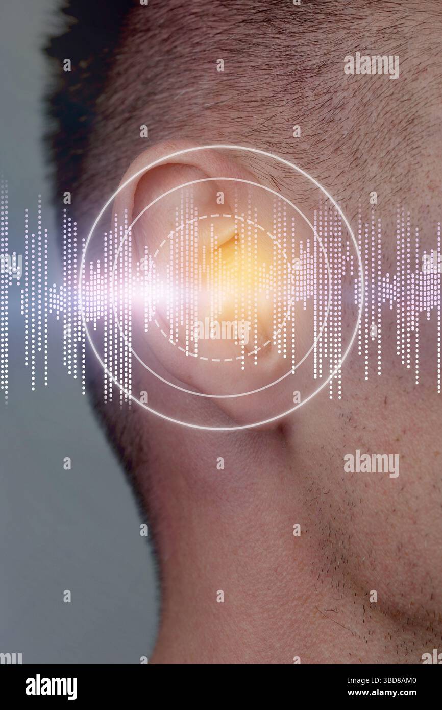 Conceptual representation of sound waves interacting with human hearing ...