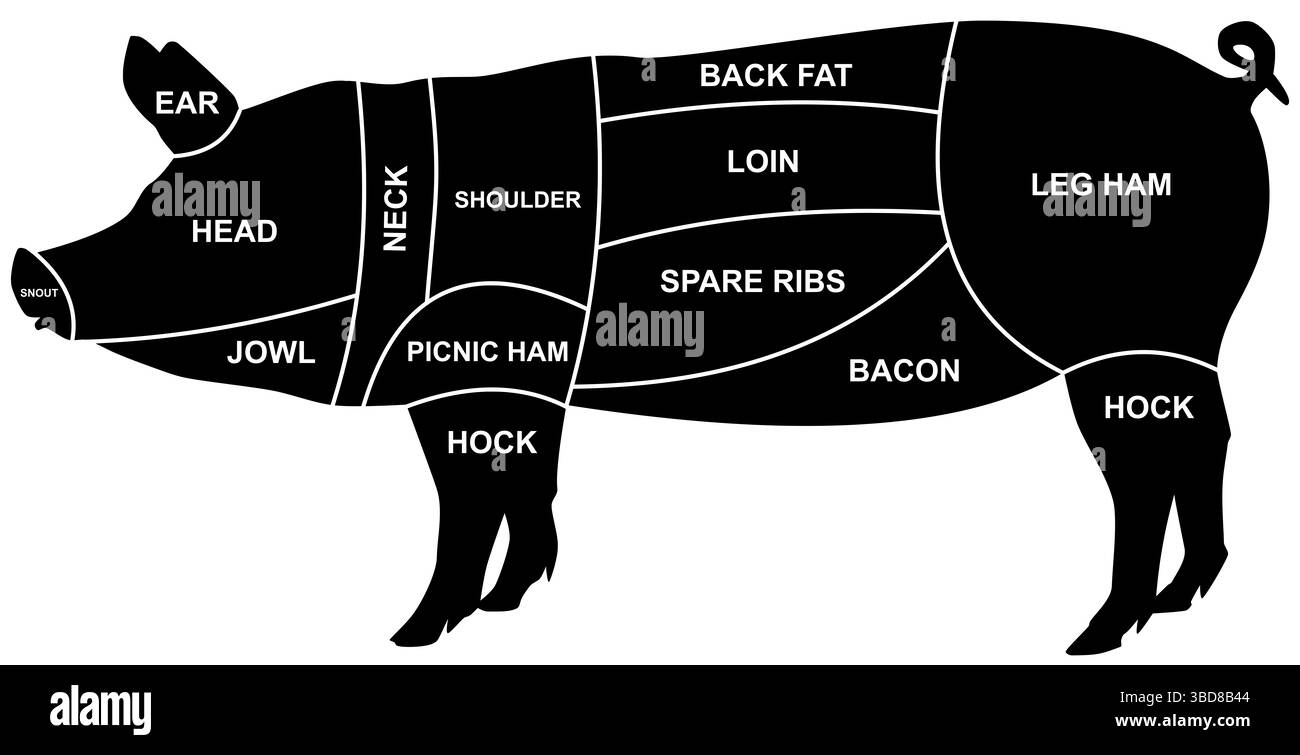 Butcher meat cuts of a pig on white background Stock Photo - Alamy