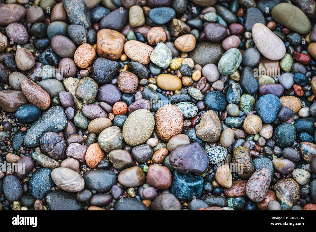 Vibrant Pebbles Along Bay of Fundy Shore Stock Photo - Alamy