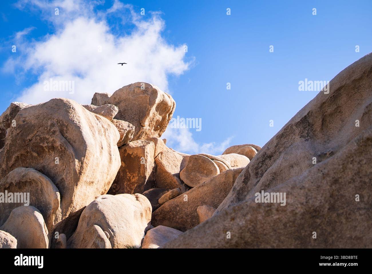 Granite Boulders with Bird Flying Overhead Under Blue Sky Stock Photo ...