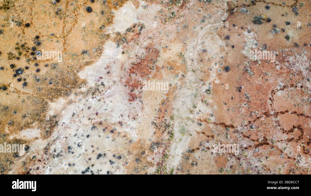 Earth-toned desert landscape with texture and sparse vegetation Stock ...