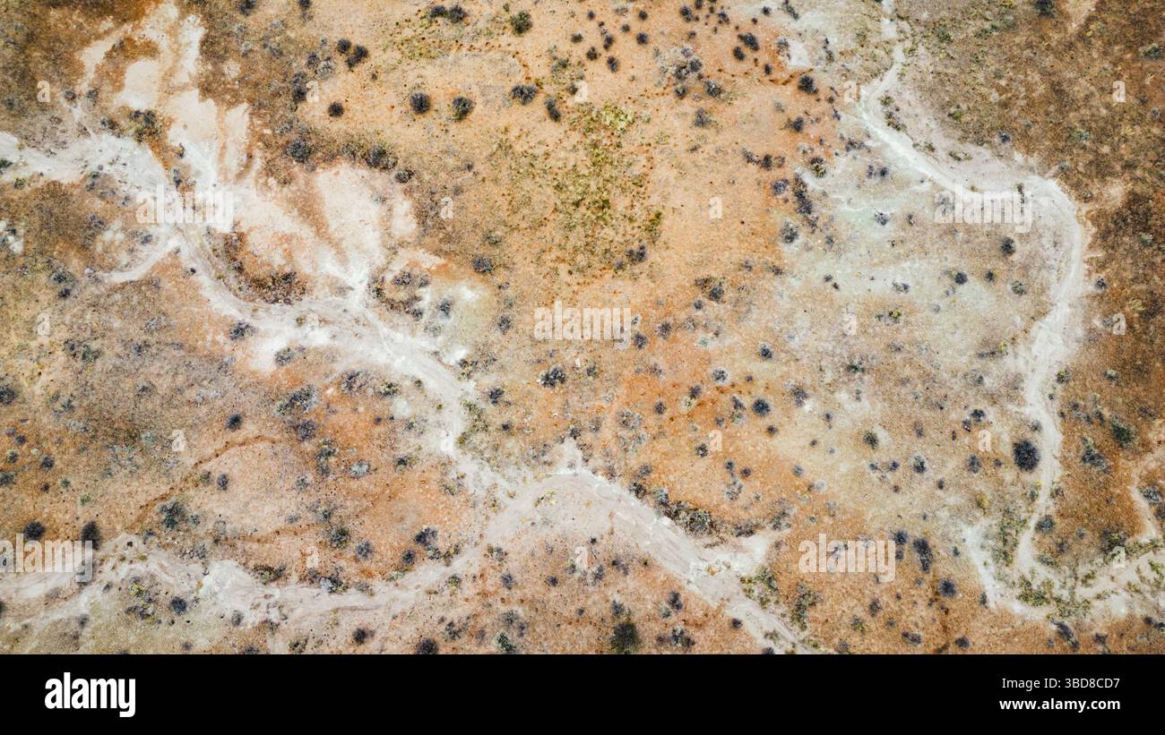 Aerial view of scattered desert vegetation and dry Utah terrain Stock ...