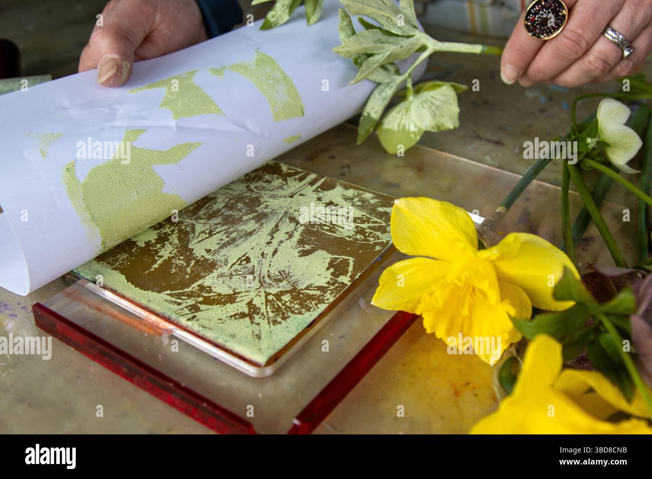 Revealing Nature-Inspired Print from Hand-Pulled Paper Stock Photo - Alamy