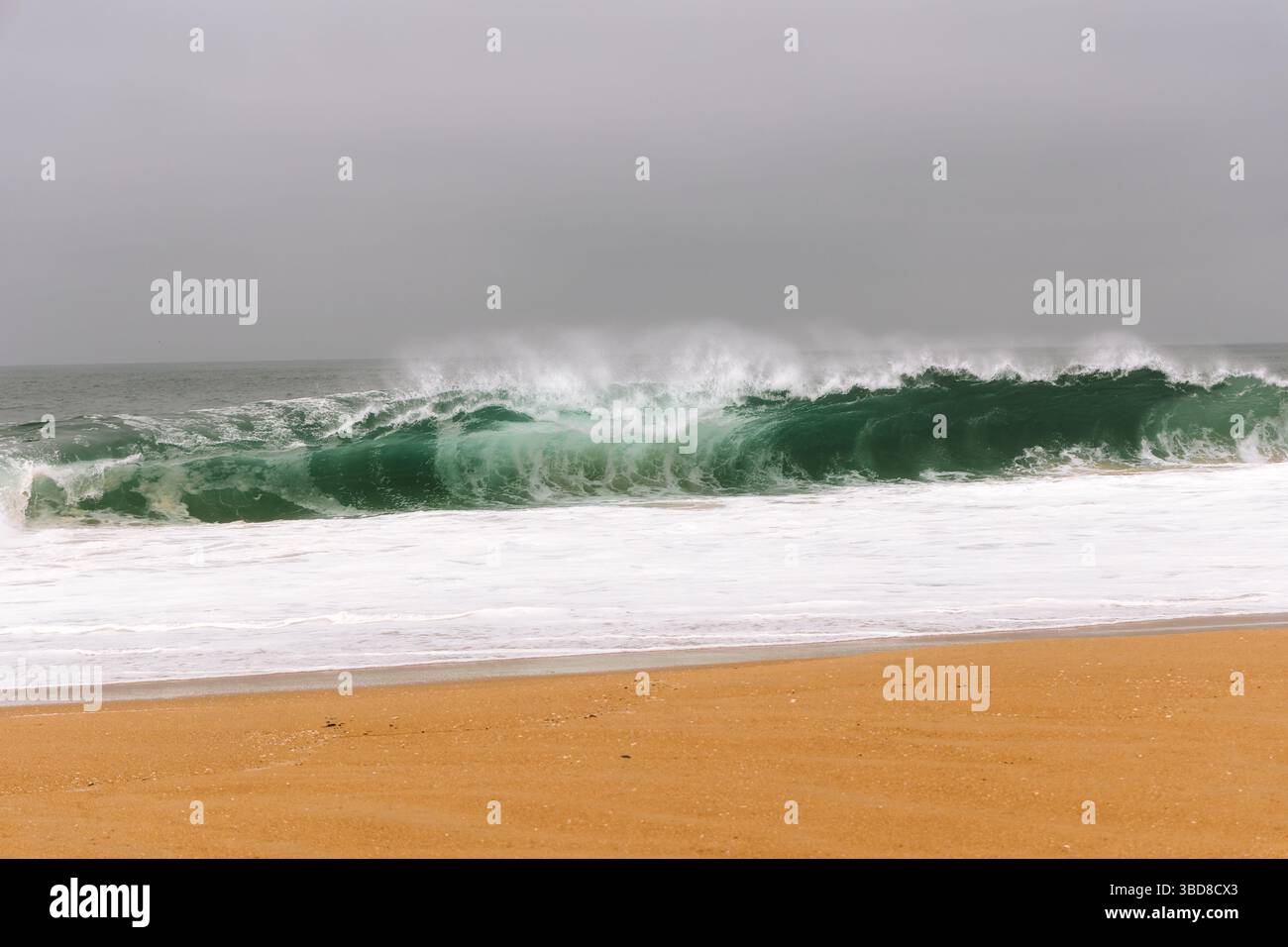 Massive wave breaking at the Wedge, Newport during south swell Stock ...