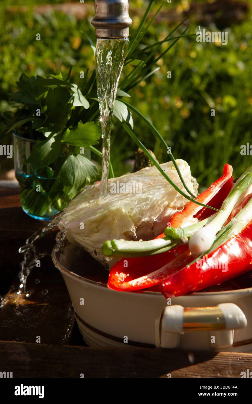 Cleaning vegetables bowl hi-res stock photography and images - Alamy