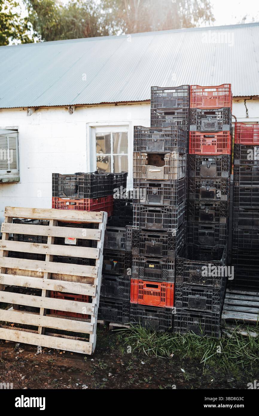 Milk pallet hi-res stock photography and images - Alamy