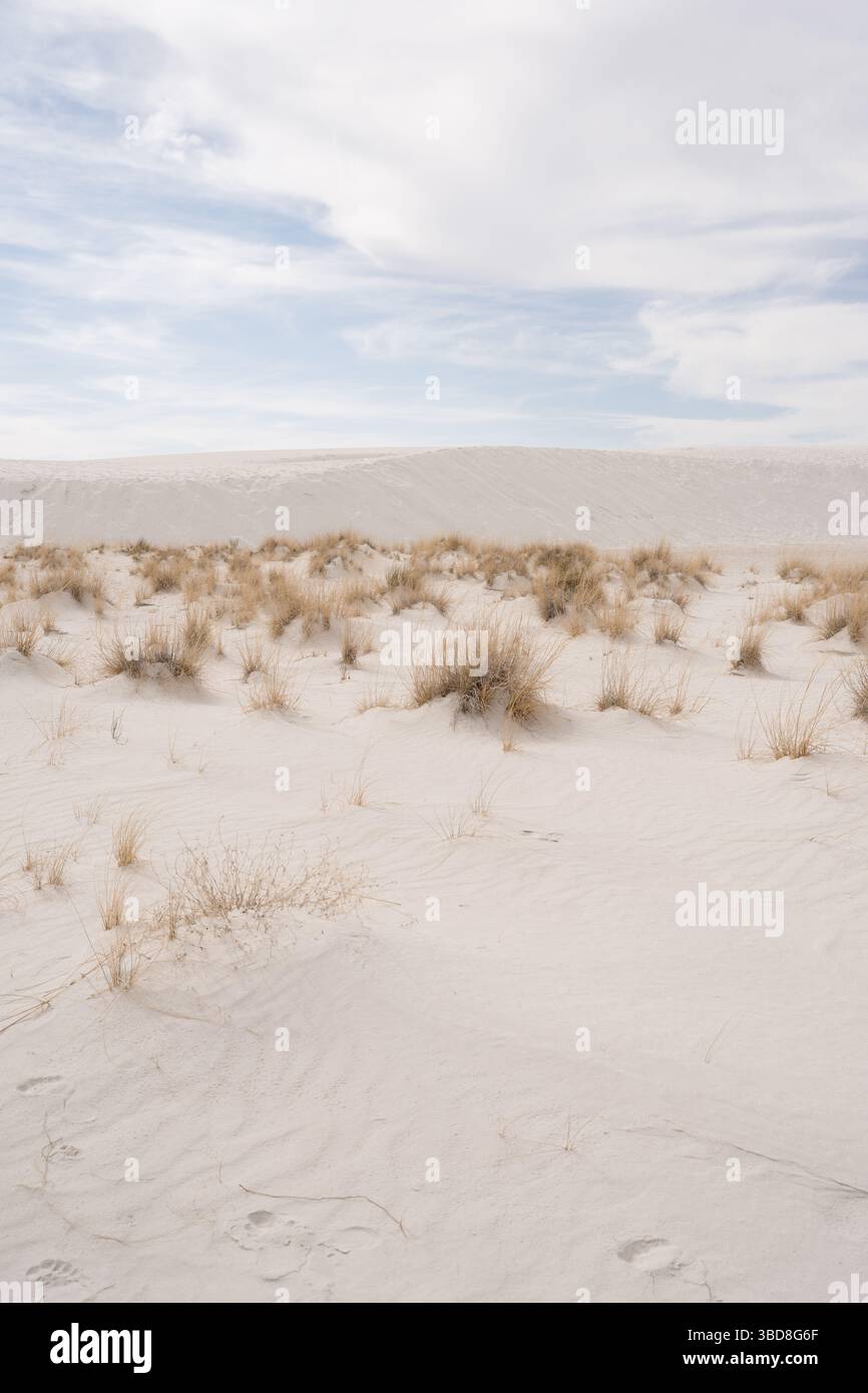 Landscape of White Sands National Park in New Mexico Stock Photo - Alamy