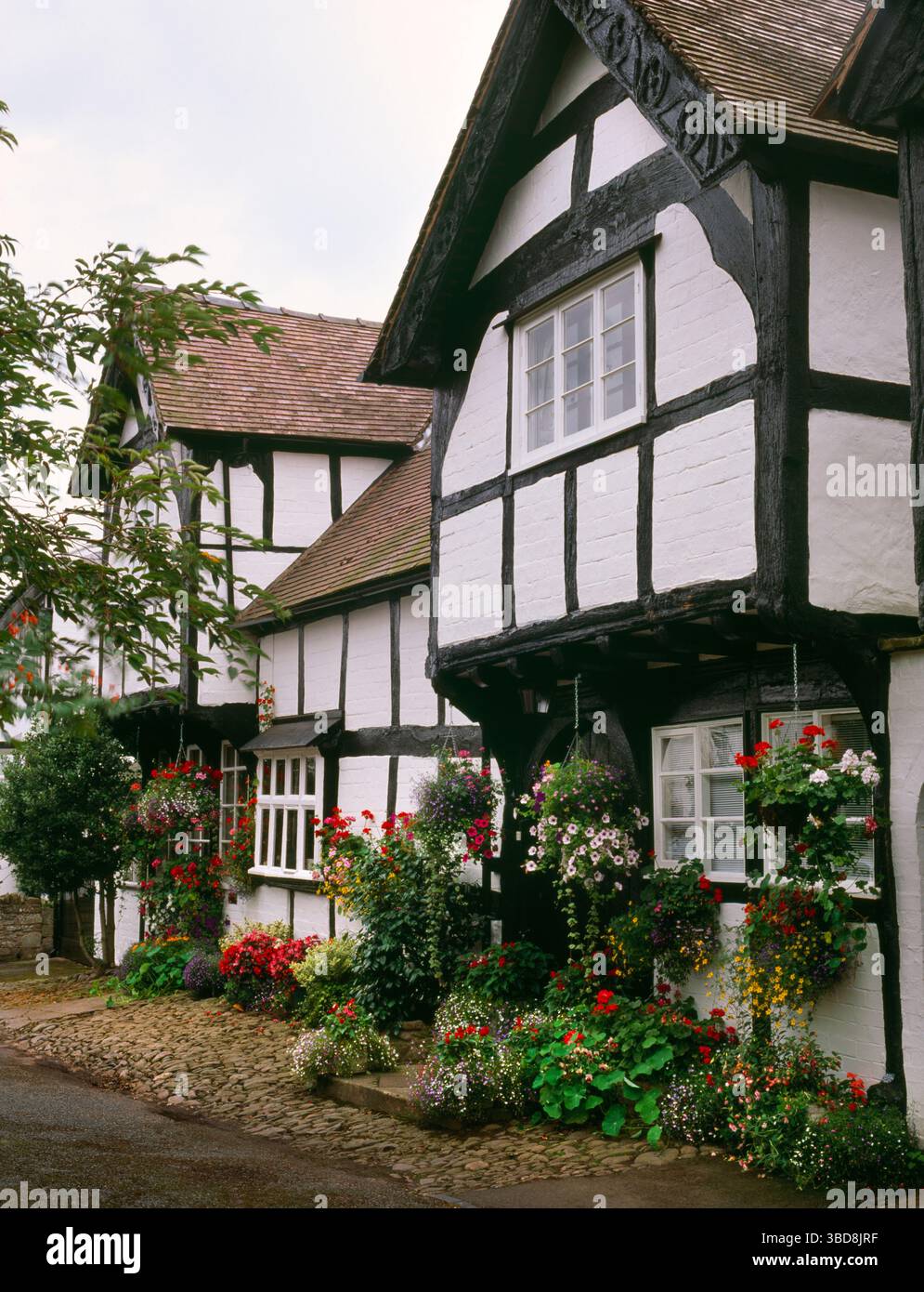 Two storey jettied cross wings hi-res stock photography and images - Alamy