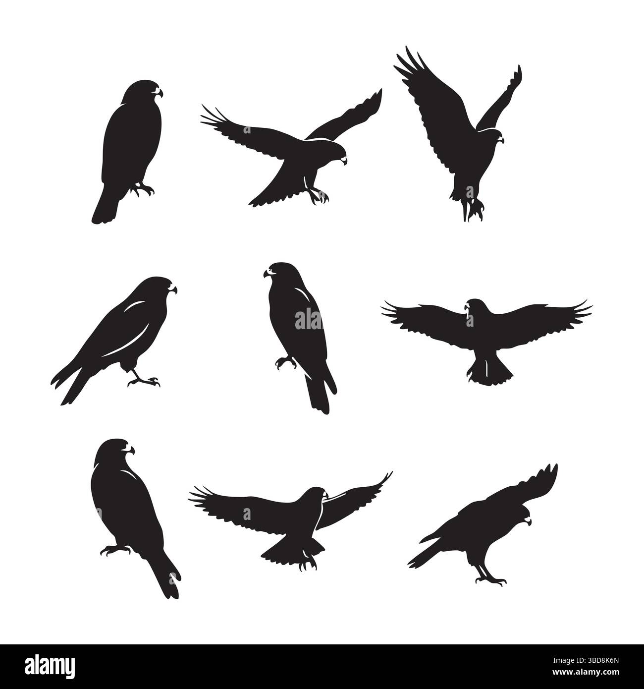 Silhouette set hawk on Stock Vector Images - Alamy