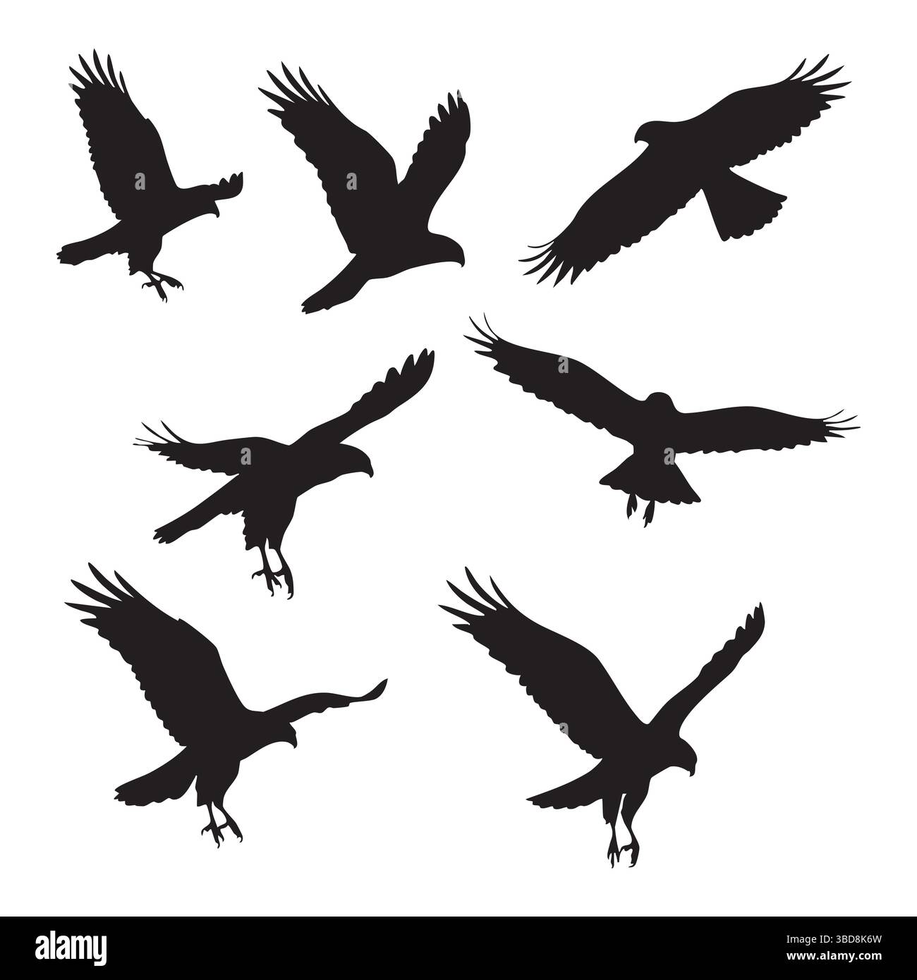 Silhouette set of hawk on white background Stock Vector Image & Art - Alamy