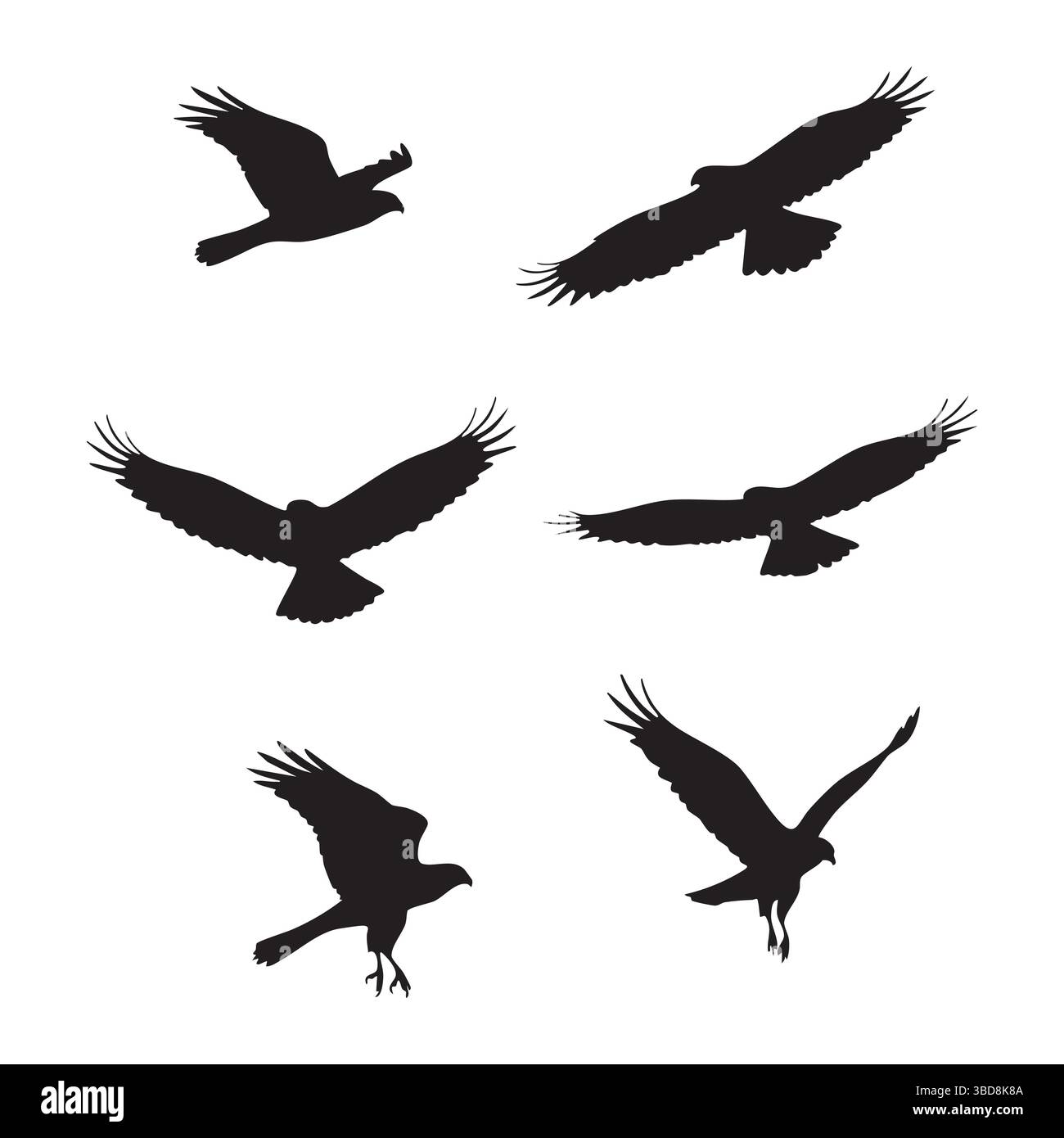 Silhouette set hawk on hi-res stock photography and images - Alamy