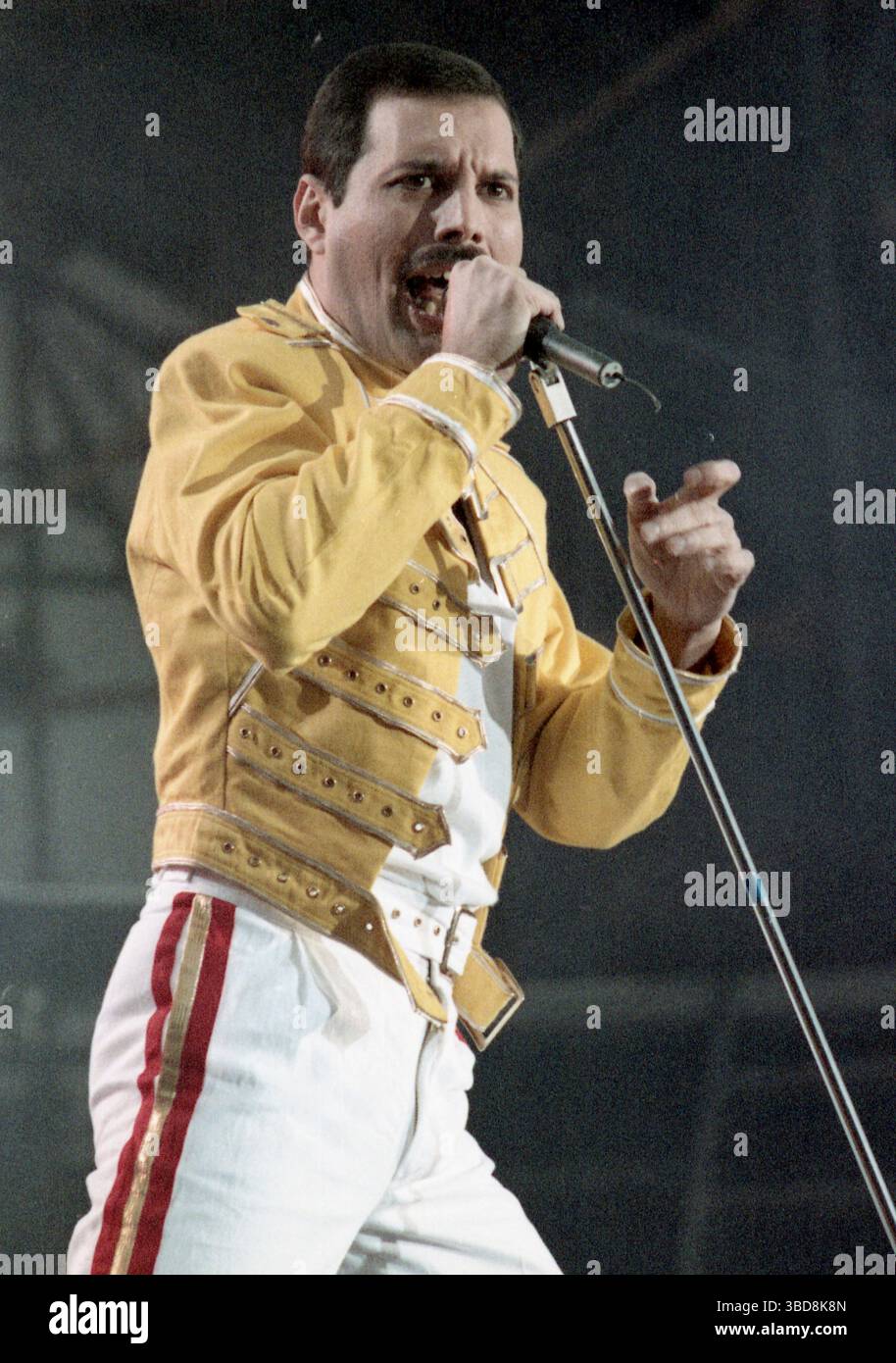 The lead singer of the band Queen, Freddie Mercury, singing during an ...