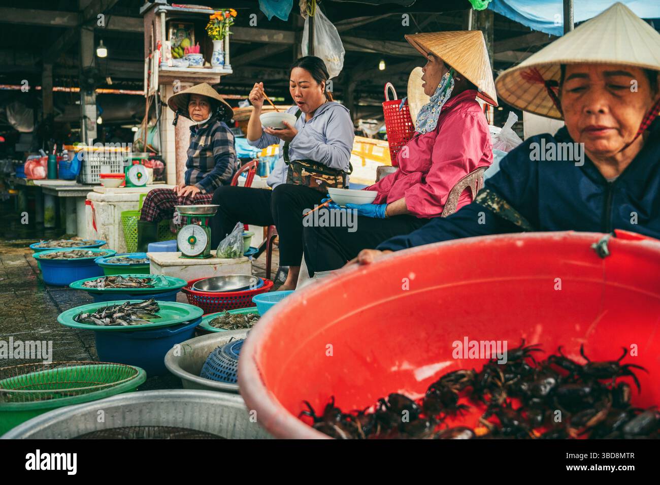 Vietnamese women seafood vendors at Asian street fish market in Hoi An ...