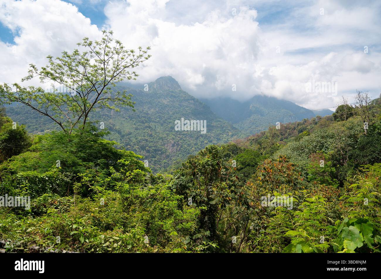 Ooty coimbatore hi-res stock photography and images - Alamy