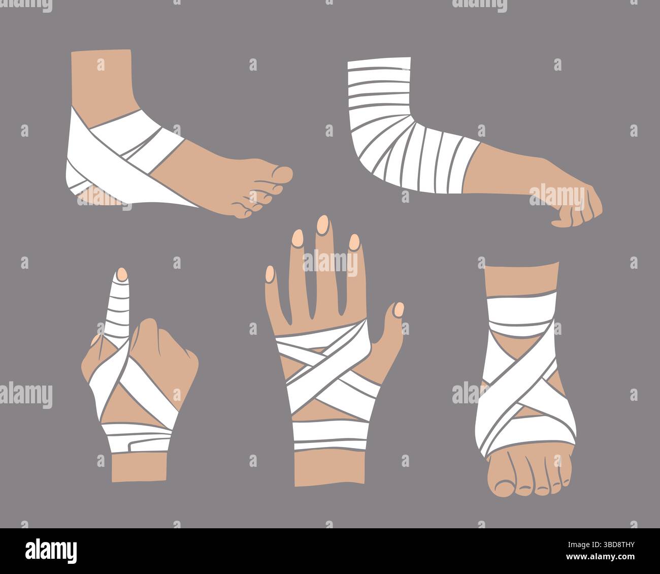 Vector isolated illustration of a set of bandaging of a leg and arm ...