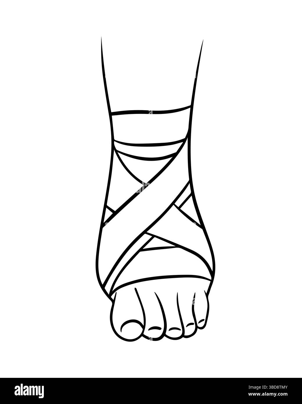 Vector isolated illustration of bandaging a leg. First aid for foot ...