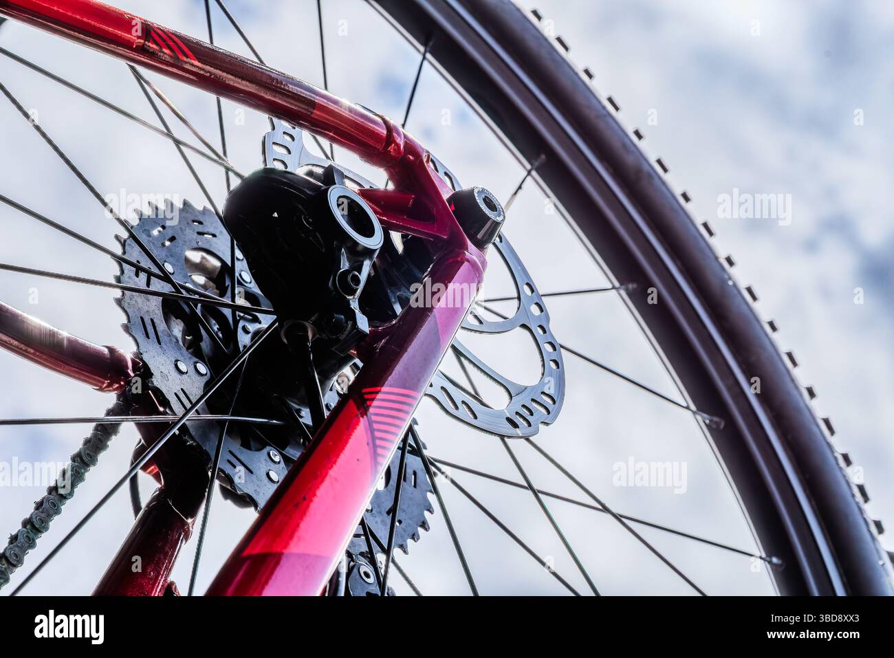 Close-up of the rear wheel of a modern mountain bike equipped with a ...