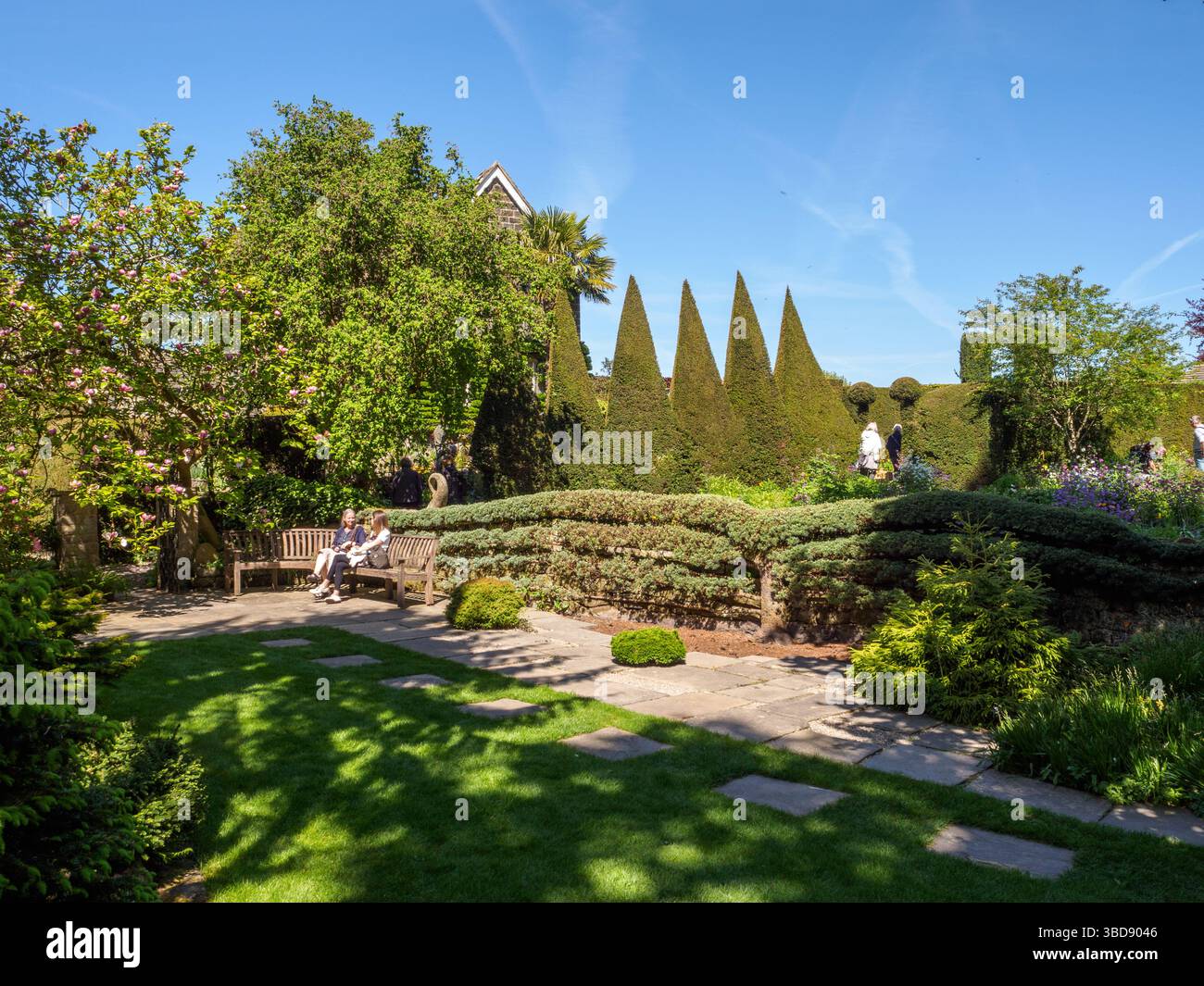 Pyramid topiary hi-res stock photography and images - Alamy