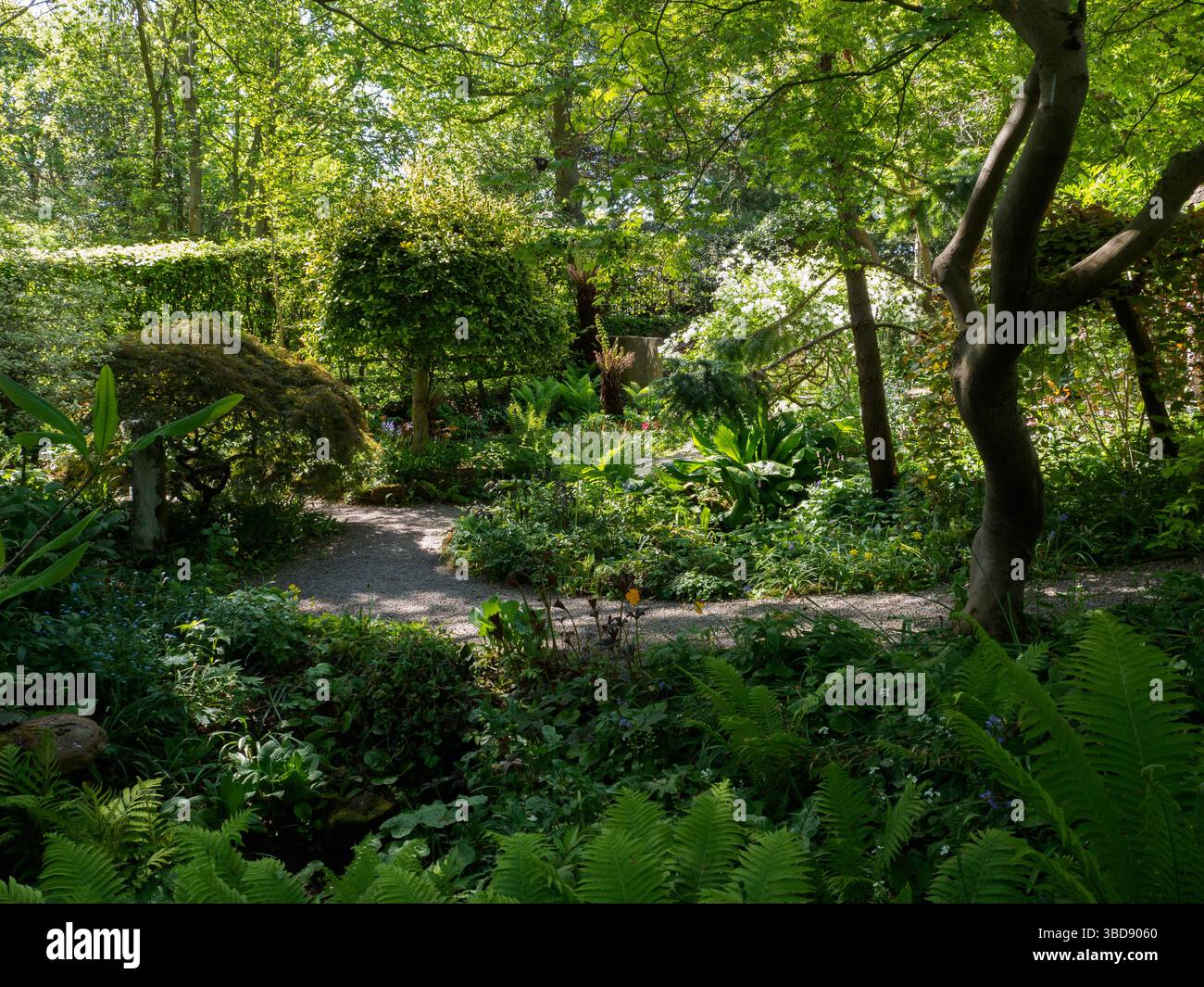 A shady path at York Garten Garden Stock Photo - Alamy