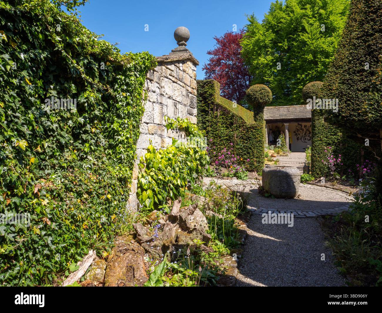 Ivy stone wall gate hi-res stock photography and images - Alamy