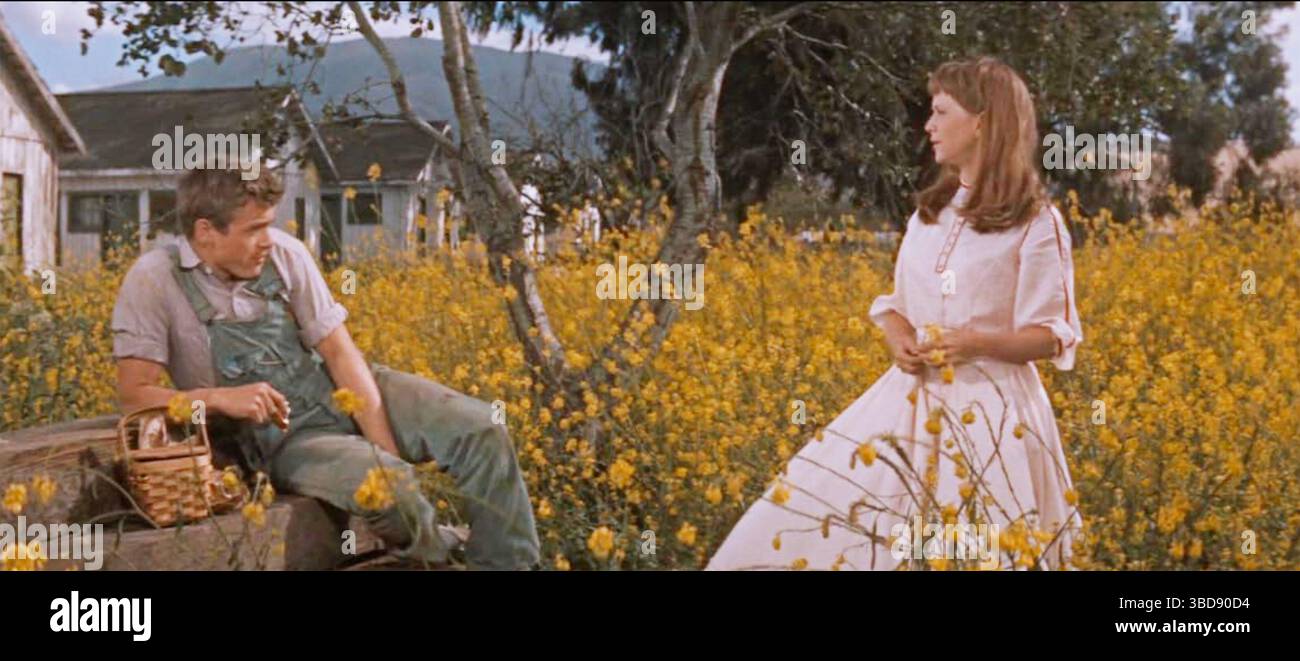 East of eden 1955 Warner Bros. Pictures film with James Dean as Caleb ...