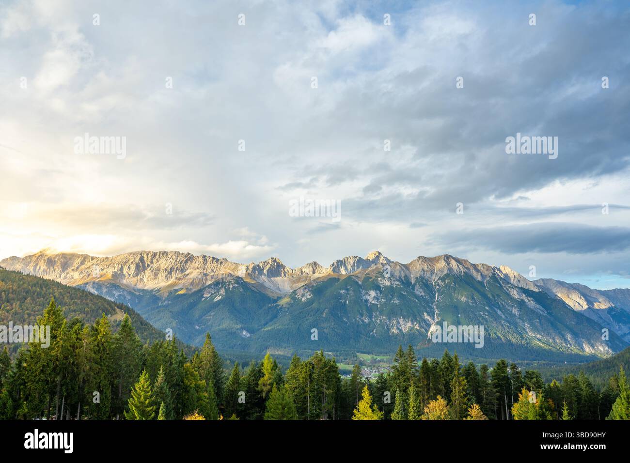 Captivating forest hi-res stock photography and images - Alamy