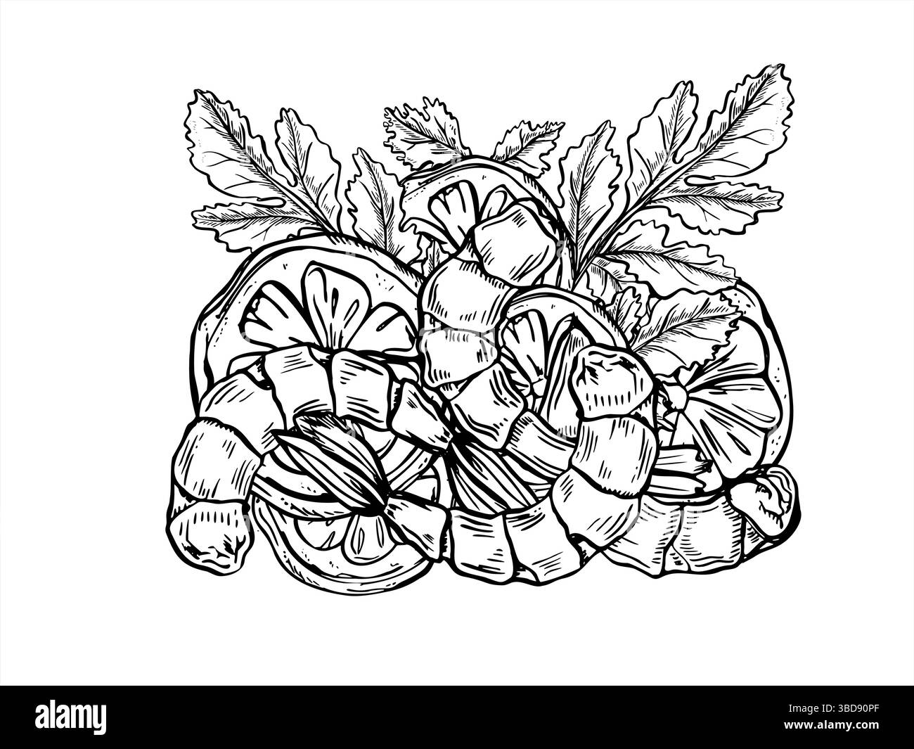 Doodle citrus slices Stock Vector Images - Alamy