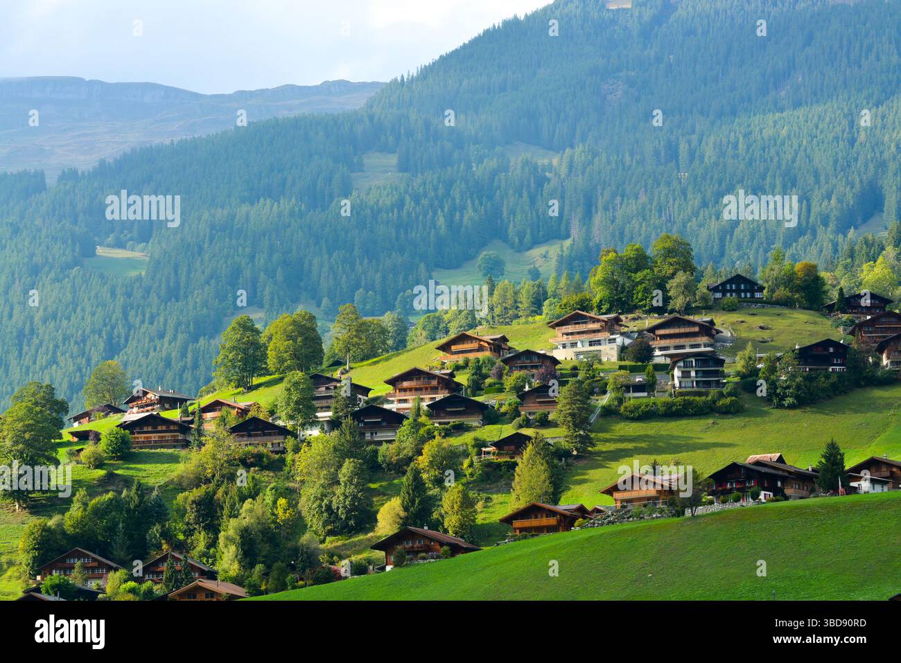 View of Grindelwald village in Switzerland Stock Photo - Alamy