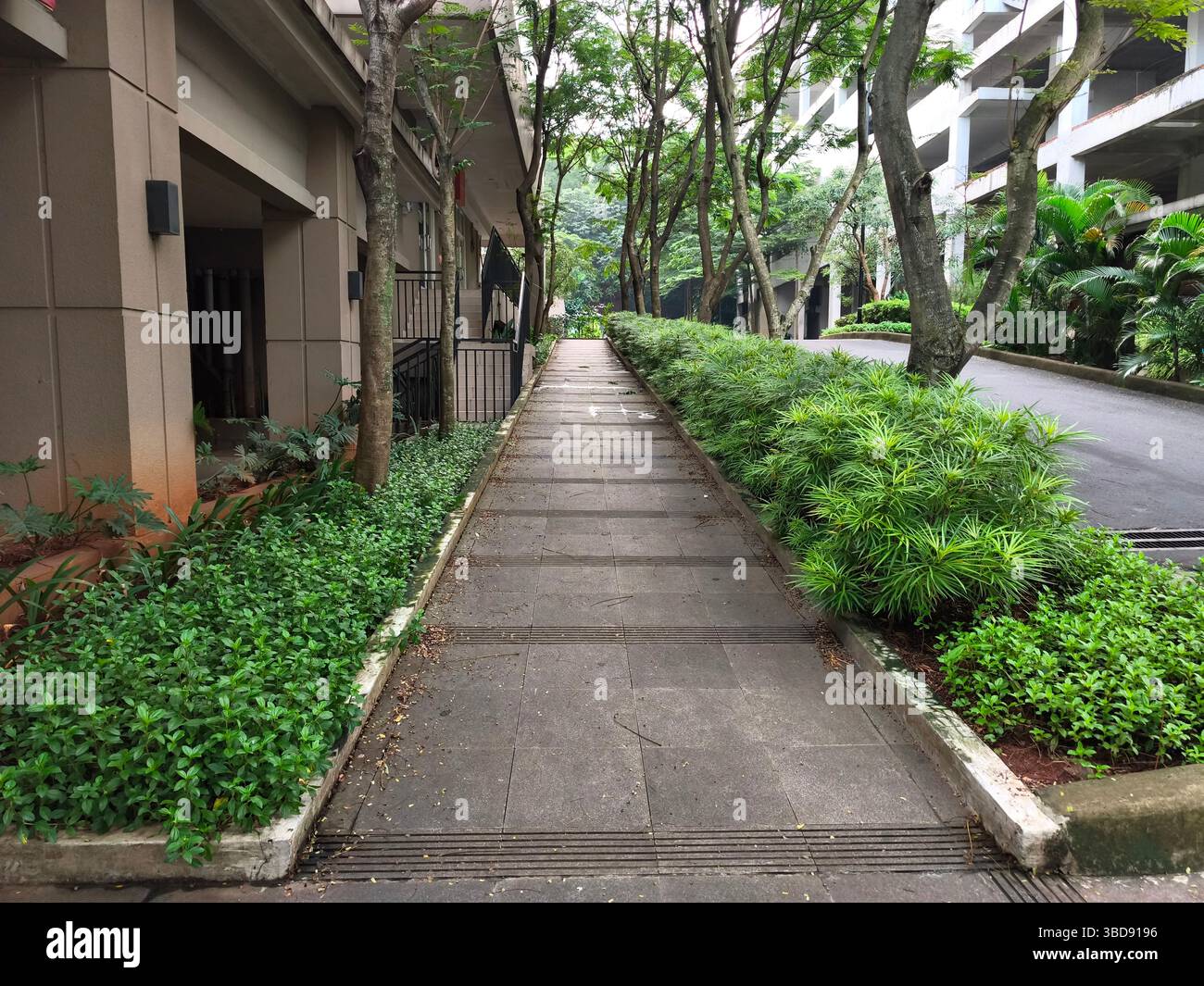 Green sidewalk hi-res stock photography and images - Alamy