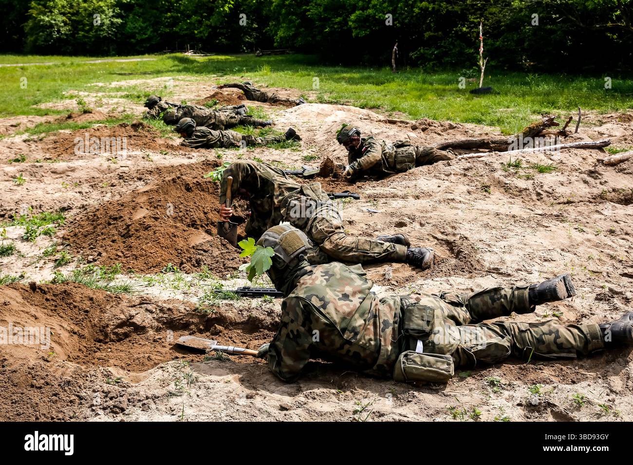 Candidates for Territorial Defence soldiers dig in on a battle field as ...