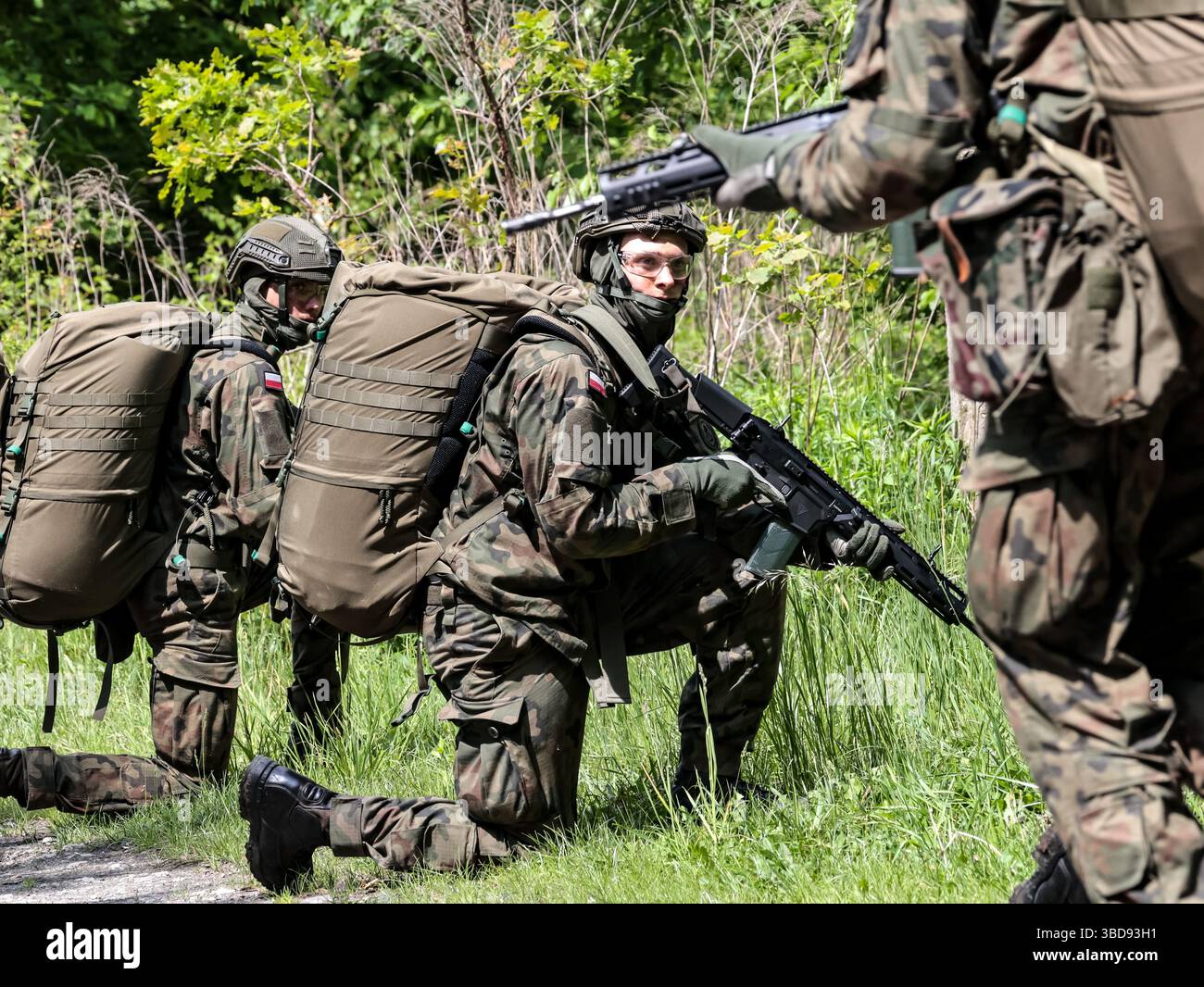 Candidates for Territorial Defence soldiers take exams after finishing ...