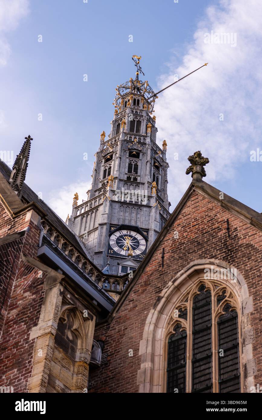 Bavokerk grote markt hi-res stock photography and images - Alamy